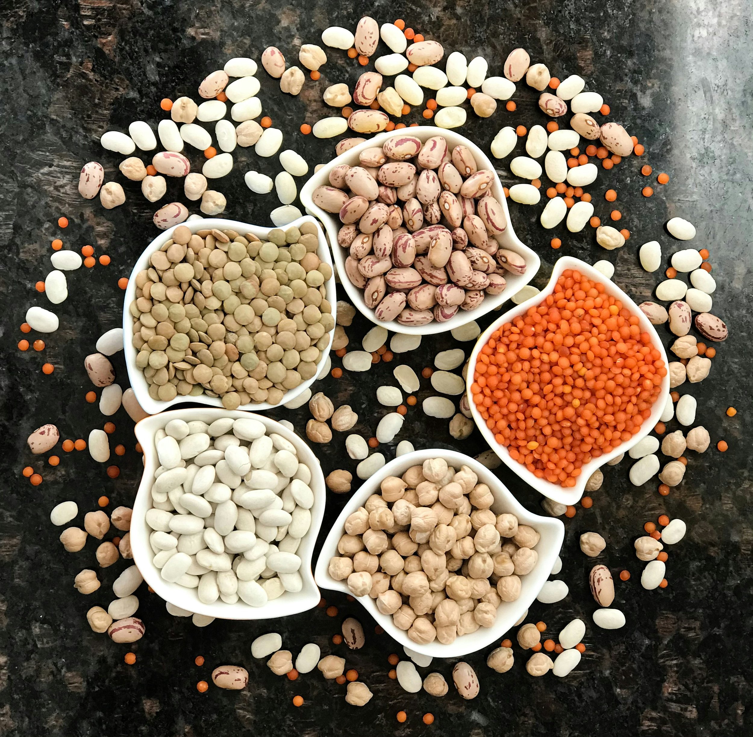 Why is Fiber so Important? – yummyowl